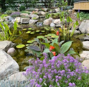 13 Must-Know Steps to Building a Backyard Pond Like a Pro - Oasis Water ...