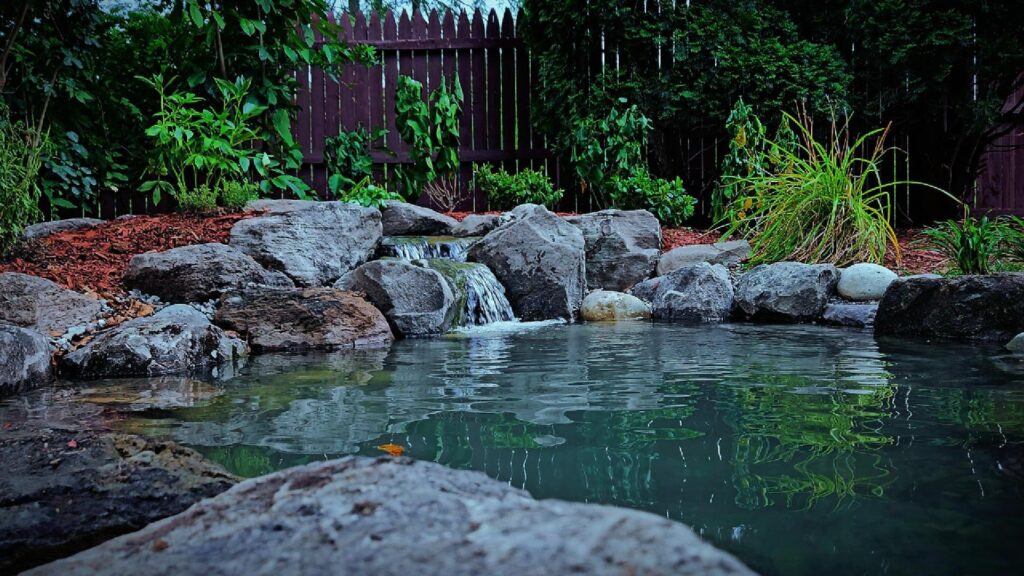 13 Must-Know Steps to Building a Backyard Pond Like a Pro - Oasis Water ...