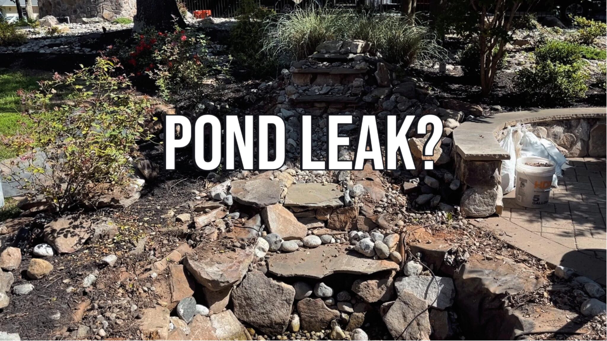 How to Find & Fix a Pond Leak: Step-by-Step Troubleshooting Guide ...