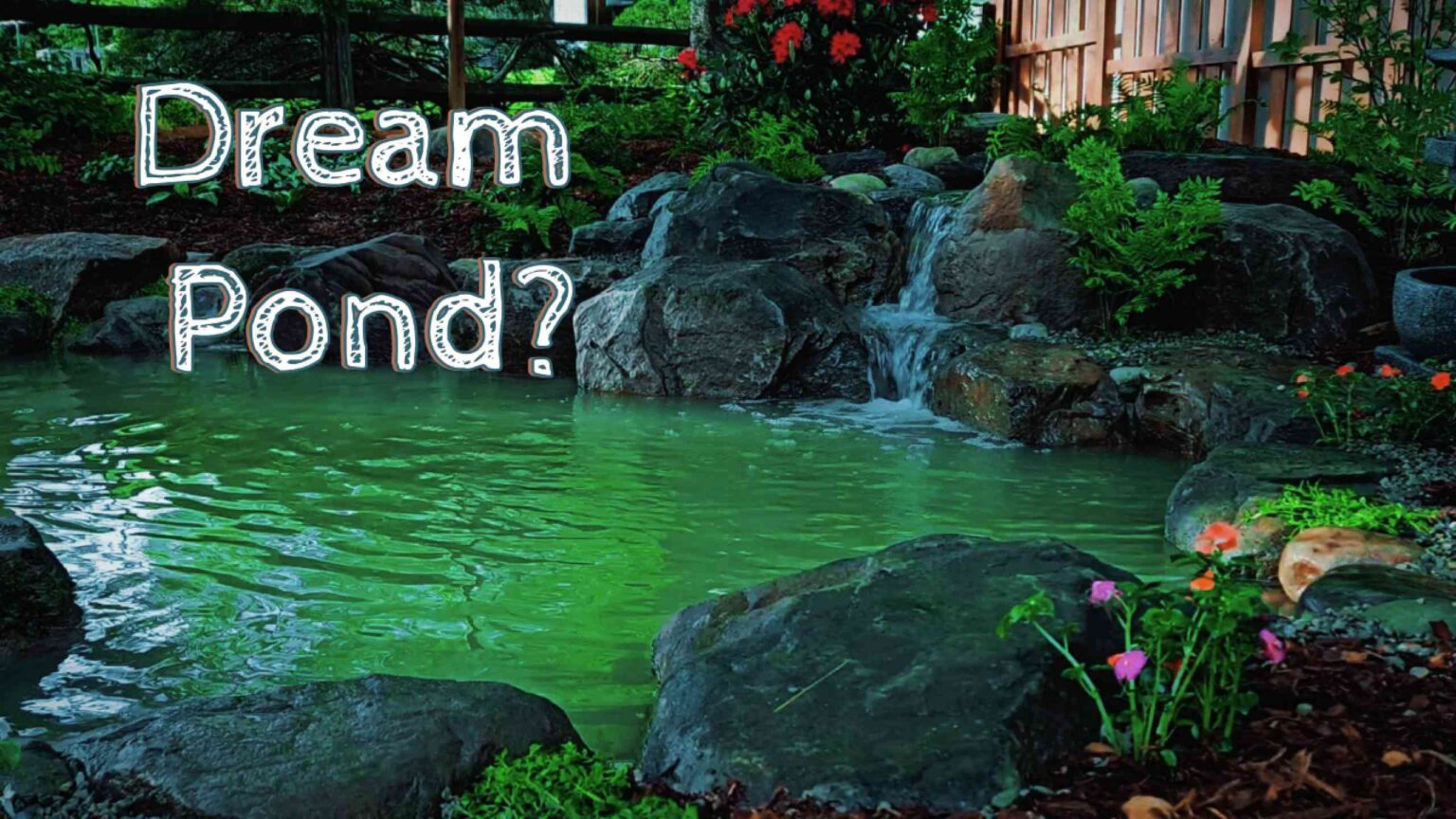 Backyard Pond Construction in Gaithersburg MD | Natural Water Feature Experts